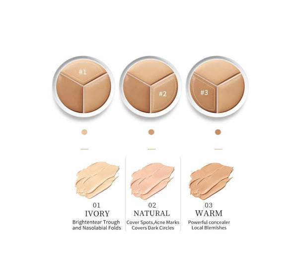 TFIT Cover Up Pro Concealer - Bellbees